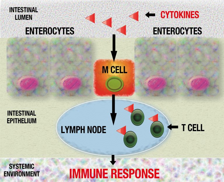 Physiological Regulating Medicine – PRM Academy